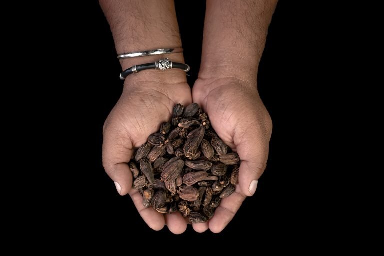 BLACK CARDAMOM / BIG ILAICHI/ నల్ల యాలుకలు – Pichekkista Bobby Food